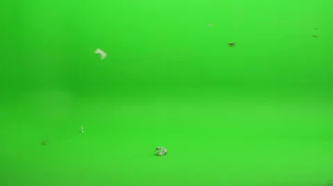 Debris blowing in the wind - green scree... | Stock Video | Pond5