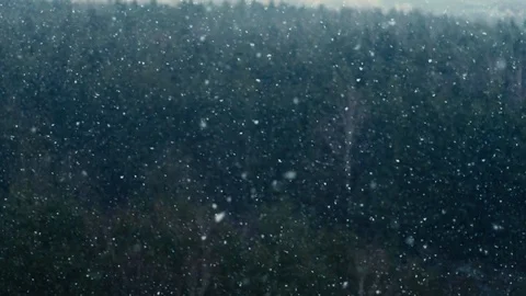 December snowfall falling in large flake... | Stock Video | Pond5