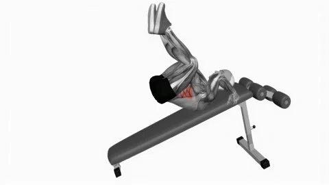 Mu Back Stock Videos – Royalty-Free HD & 4K Videos