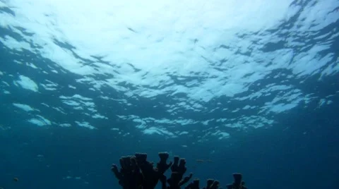 Still Water Stock Videos – Royalty-Free HD & 4K Videos | Pond5