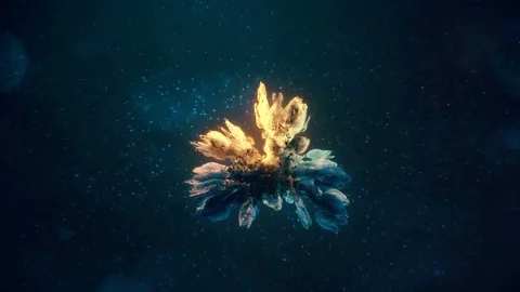 Deep Blue Yellow Color Burst colorful sm... | Stock Video | Pond5