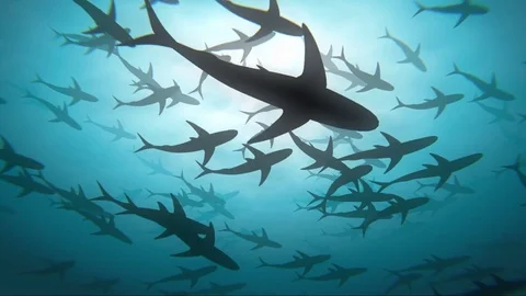 Deep ocean and huge group of sharks, loo... | Stock Video | Pond5
