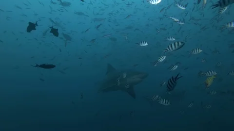 Deep ocean underwater background, extrem... | Stock Video | Pond5