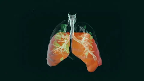 Deep Structural Inspection of Human Lung... | Stock Video | Pond5