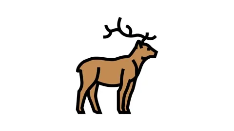 deer animal in zoo color icon animation | Stock Video | Pond5