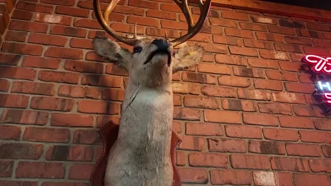 Deer Antelope Statue Bricks Restuarant B... | Stock Video | Pond5