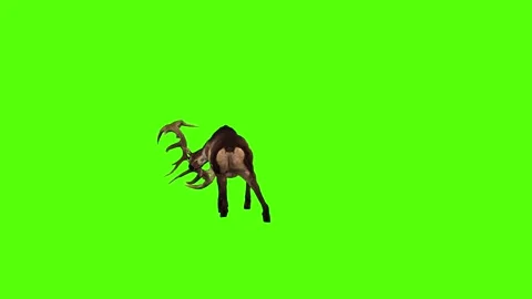 Deer Antlers Attack Green Screen Animati... | Stock Video | Pond5