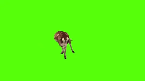 Deer Attack in Circle Green Screen Anima... | Stock Video | Pond5
