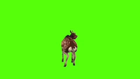 Deer Death Green Screen Animation 4K Ren... | Stock Video | Pond5