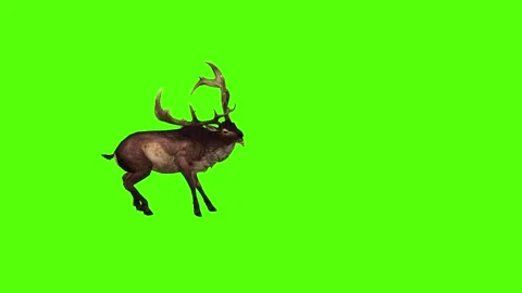 Deer Death Green Screen Animation 4K Ren... | Stock Video | Pond5