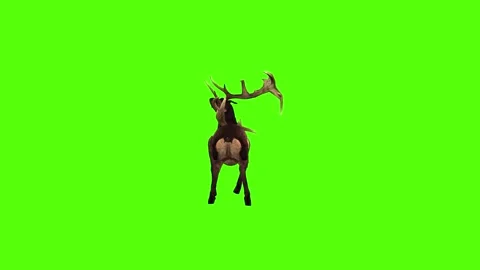 Deer Death Green Screen Animation 4K Ren... | Stock Video | Pond5
