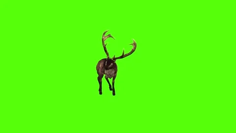 Deer Dying Green Screen Animation 4K Ren... | Stock Video | Pond5