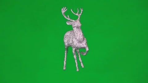 Animals Green Screen Deer Stock Footage ~ Royalty Free Stock Videos | Pond5