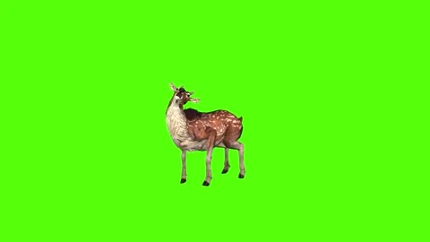 Deer Shot Dead Green Screen Animation 4K... | Stock Video | Pond5