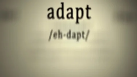 Acclimated Stock Video Footage | Royalty Free Acclimated Videos | Pond5