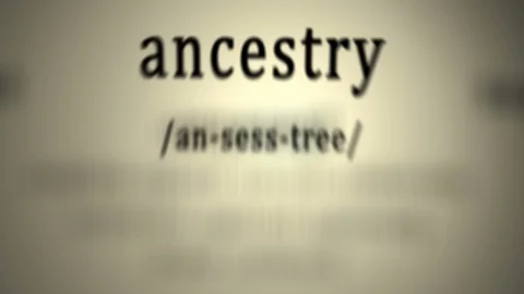 Ancestry Stock Videos – Royalty-Free HD & 4K Videos