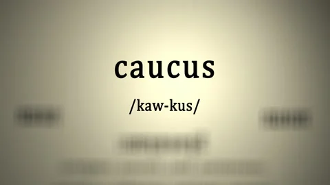 Caucus Stock Video Footage | Royalty Free Caucus Videos | Pond5