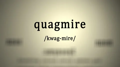 Quagmire Stock Videos – Royalty-Free HD & 4K Videos | Pond5