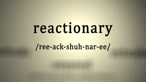 Reactionary Define Reaction: What It Means And How It Works