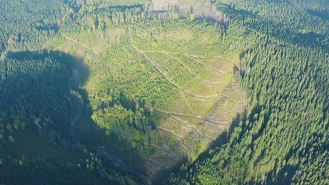 Deforestation from a bird's eye view | Stock Video | Pond5