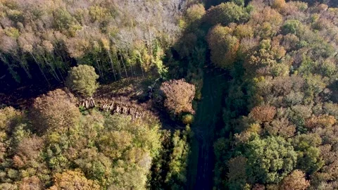Deforestation in England captured by 4K ... | Stock Video | Pond5