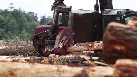 Deforesting machine | Stock Video | Pond5