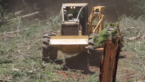 Deforesting machine | Stock Video | Pond5