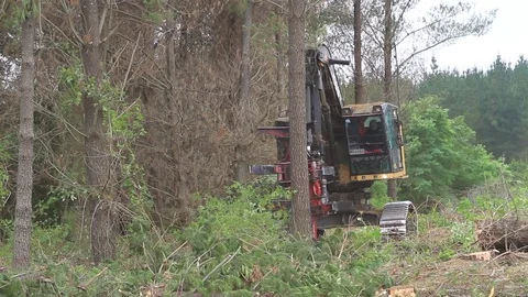 Deforesting machine | Stock Video | Pond5