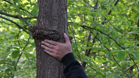 Protrusion Stock Video Footage | Royalty Free Protrusion Videos | Pond5