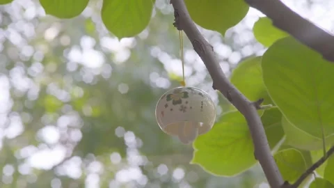 Japanese Tree Pattern Stock Videos – Royalty-Free HD & 4K Videos | Pond5