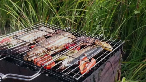 Delicious grilled mackerel fish inside g... | Stock Video | Pond5