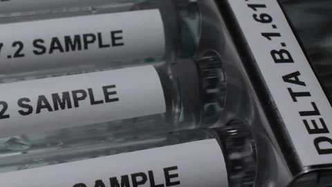 Delta Video Stock Videos – Royalty-Free HD & 4K Videos | Page 3