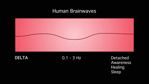 Delta Human Brain Waves Diagram Illustra... | Stock Video | Pond5