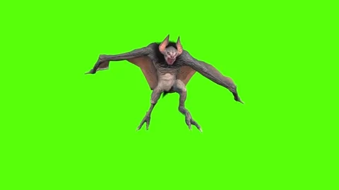 Demon Bat Running Green Screen Animation... | Stock Video | Pond5
