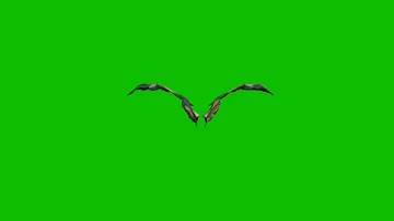 Demon Devil Wings Fast Green Screen 3D R... | Stock Video | Pond5