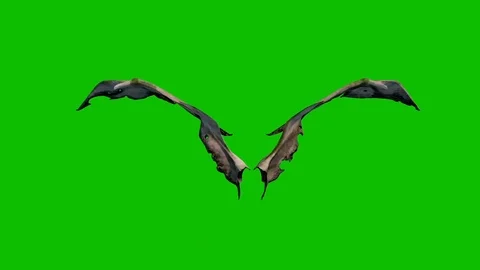 Demon Devil Wings Fast Green Screen Fron... | Stock Video | Pond5