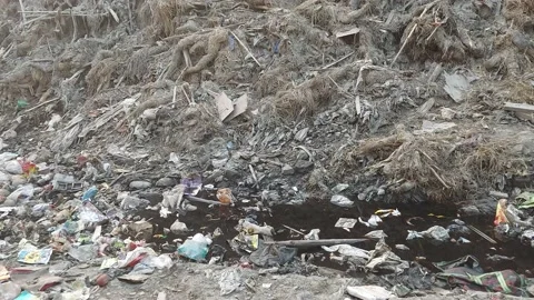 Dengue mosquito larva in the garbage sta... | Stock Video | Pond5