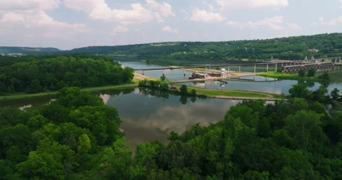 Dense Forest Of Cook's Landing Park With... | Stock Video | Pond5