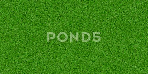 Dense lush grass texture. Field background. Park lawn pattern. Textured ...