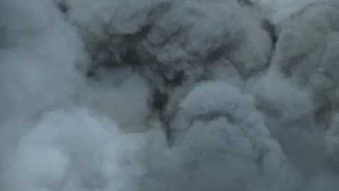 Dense Frame Stock Videos – Royalty-Free HD & 4K Videos | Pond5