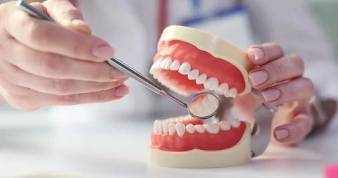 Dentist Examination Teeth Stock Videos – Royalty-Free HD & 4K Videos