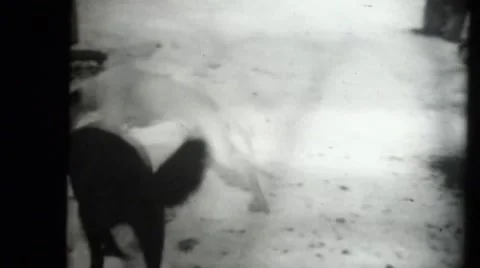 Home Feet Movies Stock Videos – Royalty-Free HD & 4K Videos