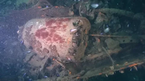 Depth Charge Stock Videos – Royalty-Free HD & 4K Videos