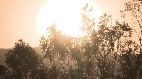 Desert bushes blowing in the wind in slo... | Stock Video | Pond5