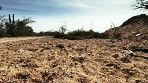 Desert Ground Stock Footage ~ Royalty Free Stock Videos | Pond5