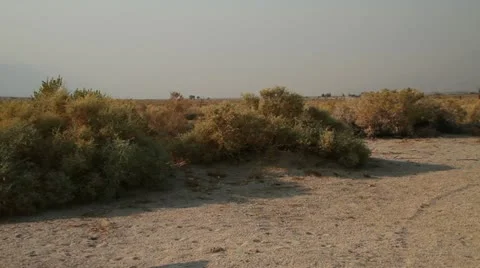 Desert at Manzanar Cemetery | Stock Video | Pond5