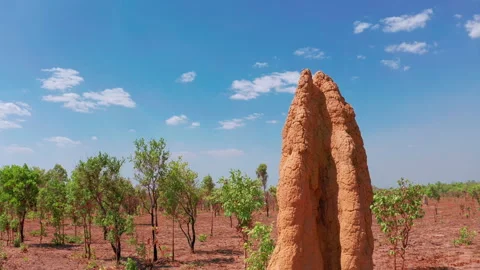 Desert of northern Australia. Hot dry cl... | Stock Video | Pond5
