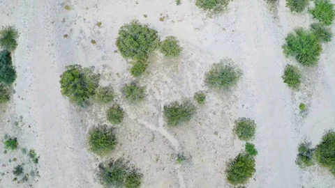 Desert Overhead Looking Down on Vegetati... | Stock Video | Pond5