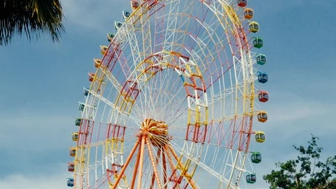 Mockup Layout Stock Video Footage | Royalty Free Mockup Layout Videos ...