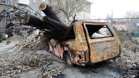 The destroyed car. The tree which broke ... | Stock Video | Pond5